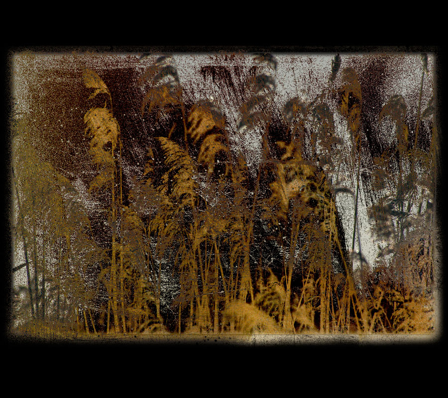 distorted landscape - Peter's Photography